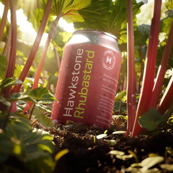 Hawkstone Rhubastard Cider Cans 4.0% vol 330ml x 12 | CTC Wholesalers
